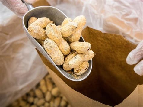 이번엔 땅콩거지…파이브가이즈 무한리필에 쏠리는 눈 한국경제