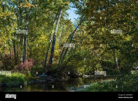 Travelers Rest State Park Near Missoula Montana Is The Only Campsite