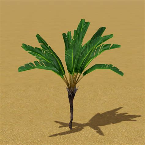 File CAW Trees Bird Of Paradise IP Png SimsWiki