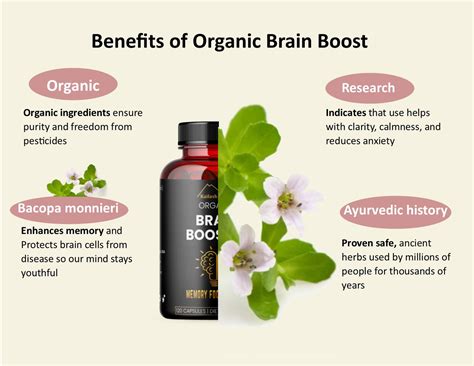 Organic Brain Booster Nootropic Brain Supplement Bacopa Monnieribra