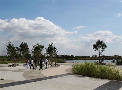2023金河湾湿地植物园游玩攻略 风景还不错最近对外开放了 去哪儿攻略