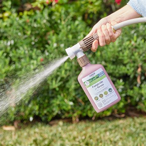 Organic Fungicide For Grass Trees And Shrubs Arber