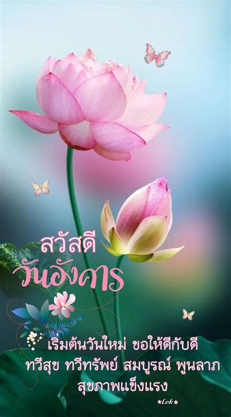 สวัสดีวันอังคาร อรุณสวัสดิ์ ดอกไม้สวย รูปภาพ