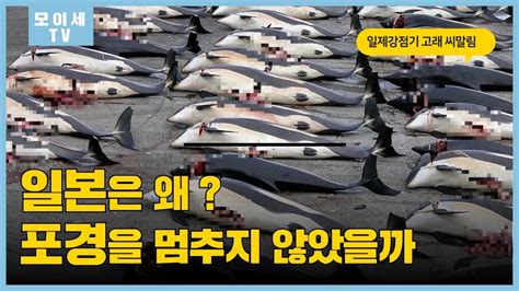 일본은 왜 귀신고래 사냥을 멈추지 않았을까 Youtube
