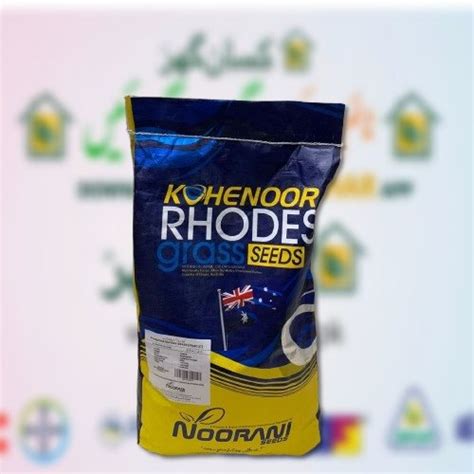 Rhodes Grass 4kg Kohenoor Forages Koh E Noor Rhode Grass Seeds Perfect