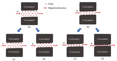 Influence Of Initial Permeability And Fluid Adsorption Capacity On Coal Download Scientific