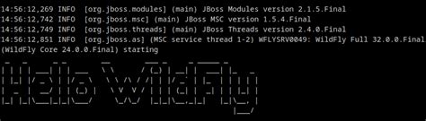 how to start wildfly with a custom banner mastertheboss