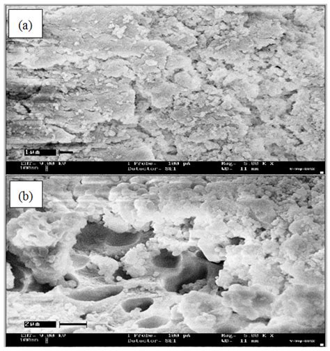 Ijms Special Issue Synthesis Characterization And Application Of Supramolecular Systems