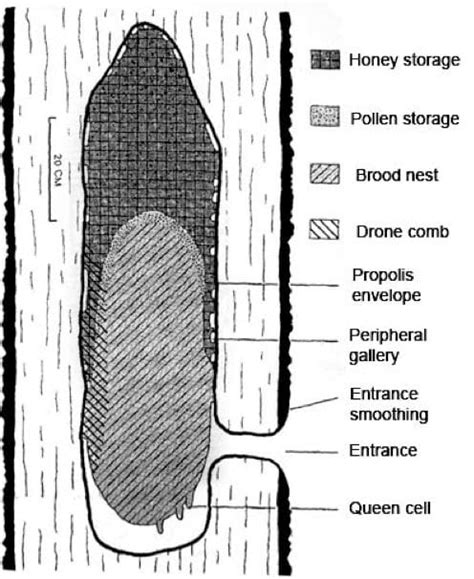 The Way Of The Bee An Intro To Natural Beekeeping Milkwood