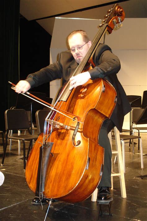 Instruments Of The Orchestra Quiz Flashcards And Trivia