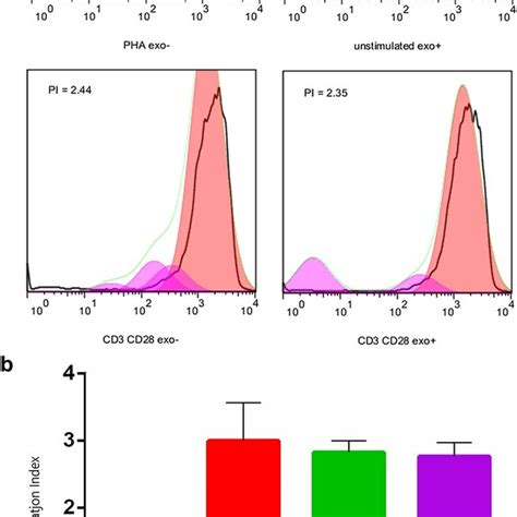 Investigating The Effect Of Msc Exo On The Proliferation Of Splenocytes Download Scientific