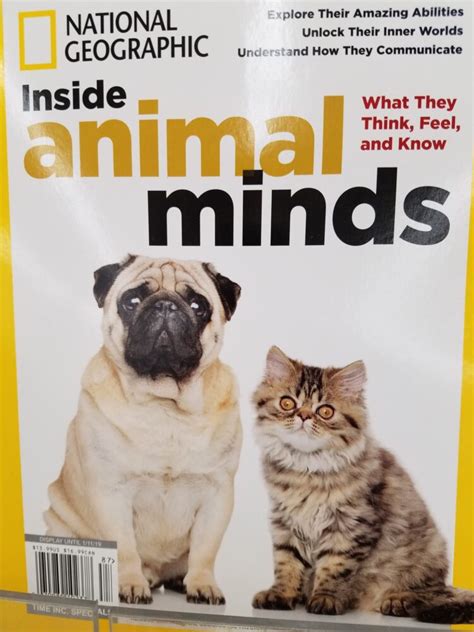 New Hot Sexy Julissa Arce Rivera Bikini Pics