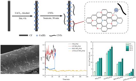 Tribological Performance Of Ws2 Pai Composite Coating Reinforced With Carbon Nanotubes‐carbon