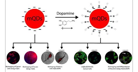 Dawson Benner Nremt On Linkedin Dopamine Functionalized Red Carbon