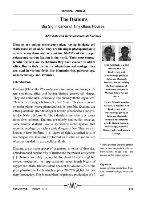 Pdf The Diatoms Big Significance Of Tiny Glass Houses