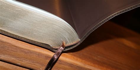 Tyndales Giant Print Nlt Bible Review Bible Buying Guide