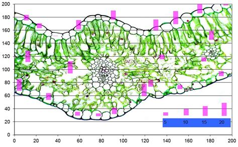Advanced Graphs Using Excel Overlay Plots Over Pictures Such As Photo Diagram Or Maps