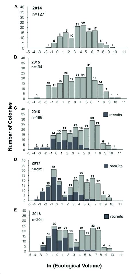 Population Size Frequency Distributions The Size Frequency
