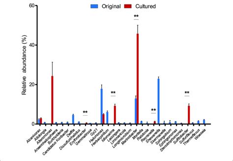 Relative Abundance Of The 30 Most Abundant Genera In The Original And