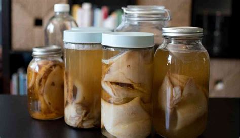 How Long Can A Scoby Live In The Fridge Power Up Cook