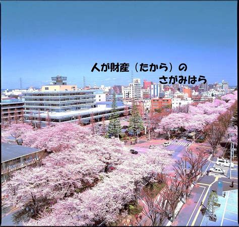 相模原市教員採用情報 ～教員を目指す方へ～ Home Facebook