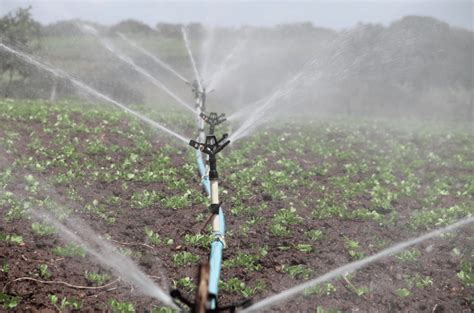 How Does An Irrigation Control System Work Sensorex Liquid Analysis