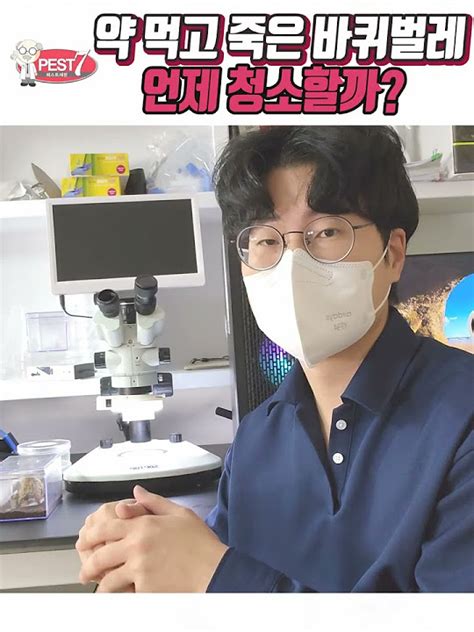 질문 죽은 바퀴벌레 시체 언제 치워야 하나요 Youtube