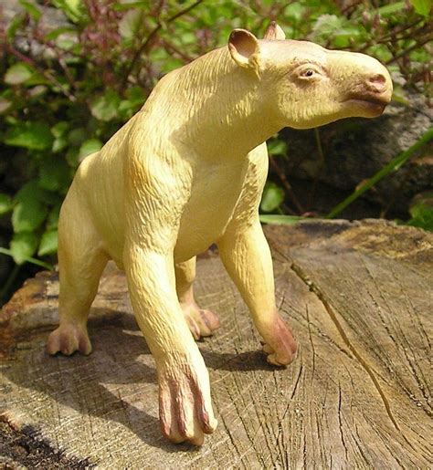 Chalicothere Alchetron The Free Social Encyclopedia