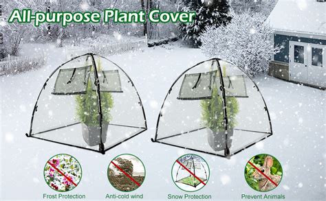 How To Cover Plants For The Winter Detroit Chinatown