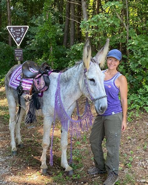 Riding Donkey Training