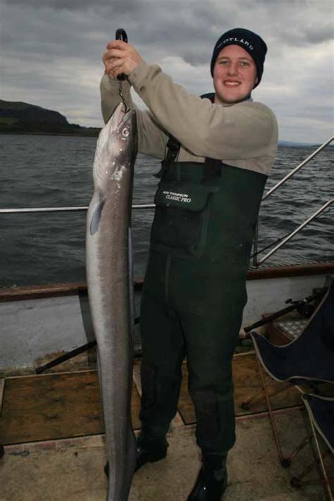 What Is Conger Eel And How To Catch One Badangling