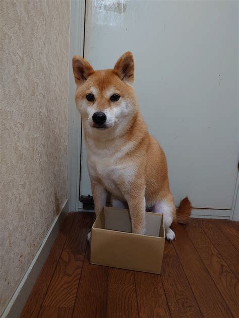 つぶやきピックアップ Yahooリアルタイム検索