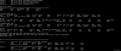 达梦主备集群安装达梦读写分离arch Wait Apply Csdn博客