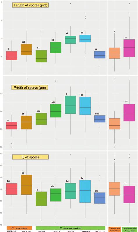 Boxplots Comparing Length Width And Q Value Of Cortinarus Catharinae