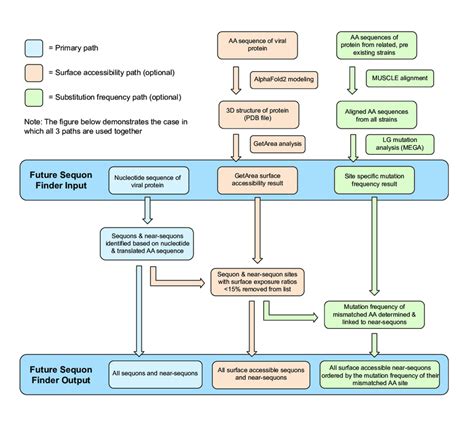 General Workflow For Generating Outputs With Future Sequon Finder The Download Scientific