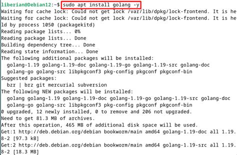 How To Install Golang On Debian Liberian Geek