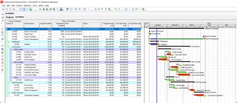 Summarize Your P Project In Primavera P Explained