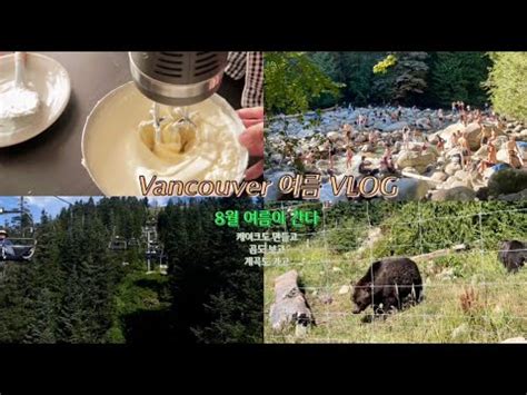 Vlog Youtube