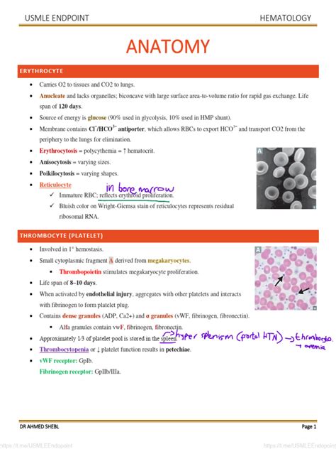 12 Hematology Oncology 2021 Edition Pdf Coagulation Platelet