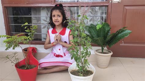 Plants Youtube