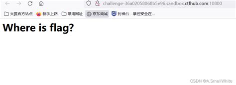 Ctfhub技能树详解（最全、最细、最易懂）网络安全asmallwhite 2048 Ai社区