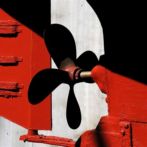 Rotations Of Life W Danell Anthony And Braga Circuit Balamii