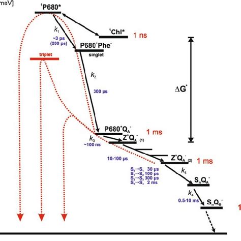 Diagrams Showing Correlation Between Df And Relative Variable Pf V T Download Scientific