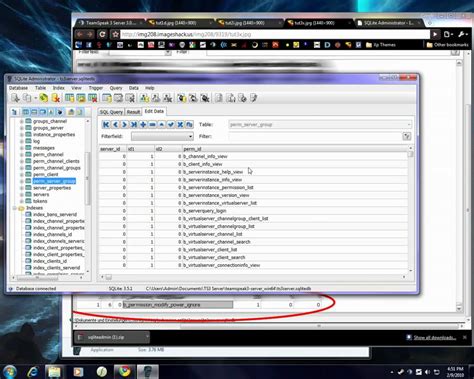 Ts3 Permission Fix Youtube