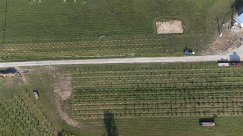 The Vineyard Zandm Twisted Vines Winery And Vineyard