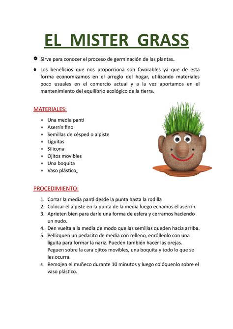 Mister Grass El Mister Grass Sirve Para Conocer El Proceso De Germinación De Las Plantas Los