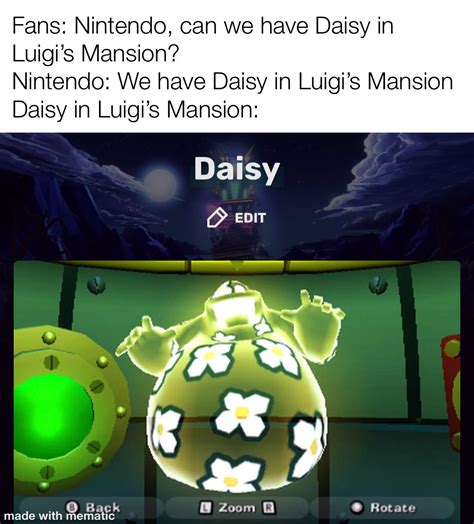 We Have Daisy In Luigis Mansion R Luigismansion