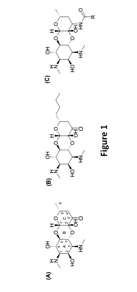 Aryl Substituted Aminomethyl Spectinomycin Analogs As Antibacterial