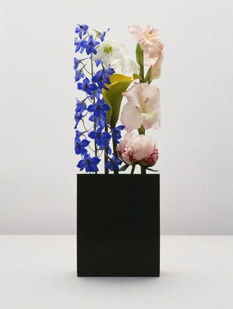 Skipper Jack Vintage Skipperjackvintage Profile Pinterest