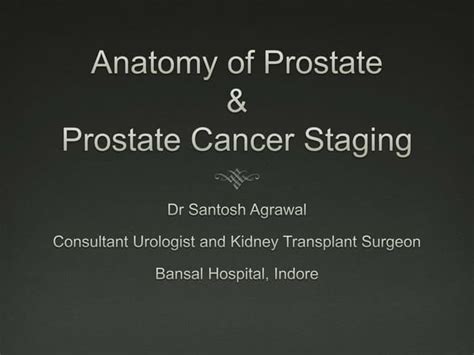 Prostate Clinical Anatomy As Applied To Prostate Cancer Pptx